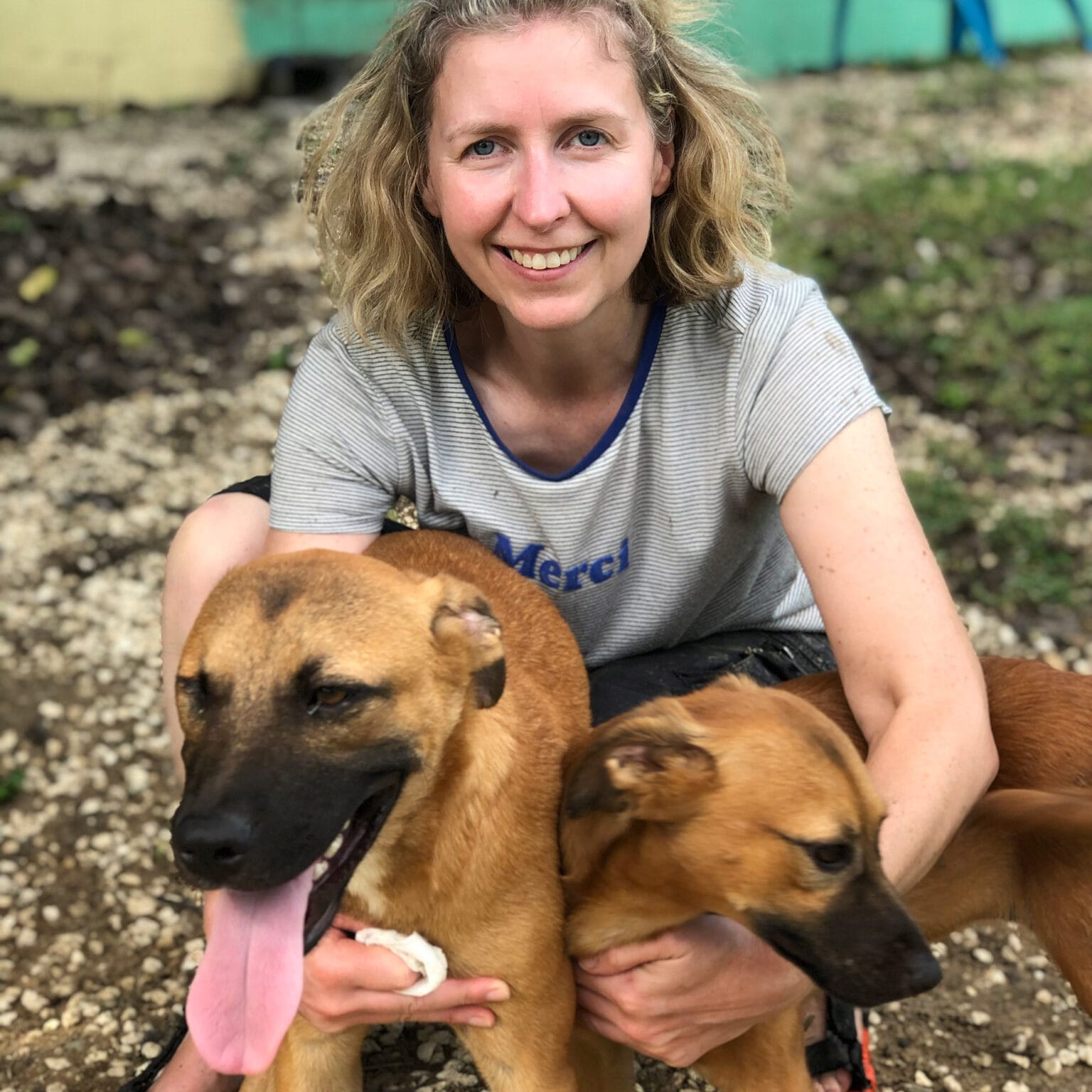 Fully Qualified Dog Boarders - Ofqual L3 | Furry Towers